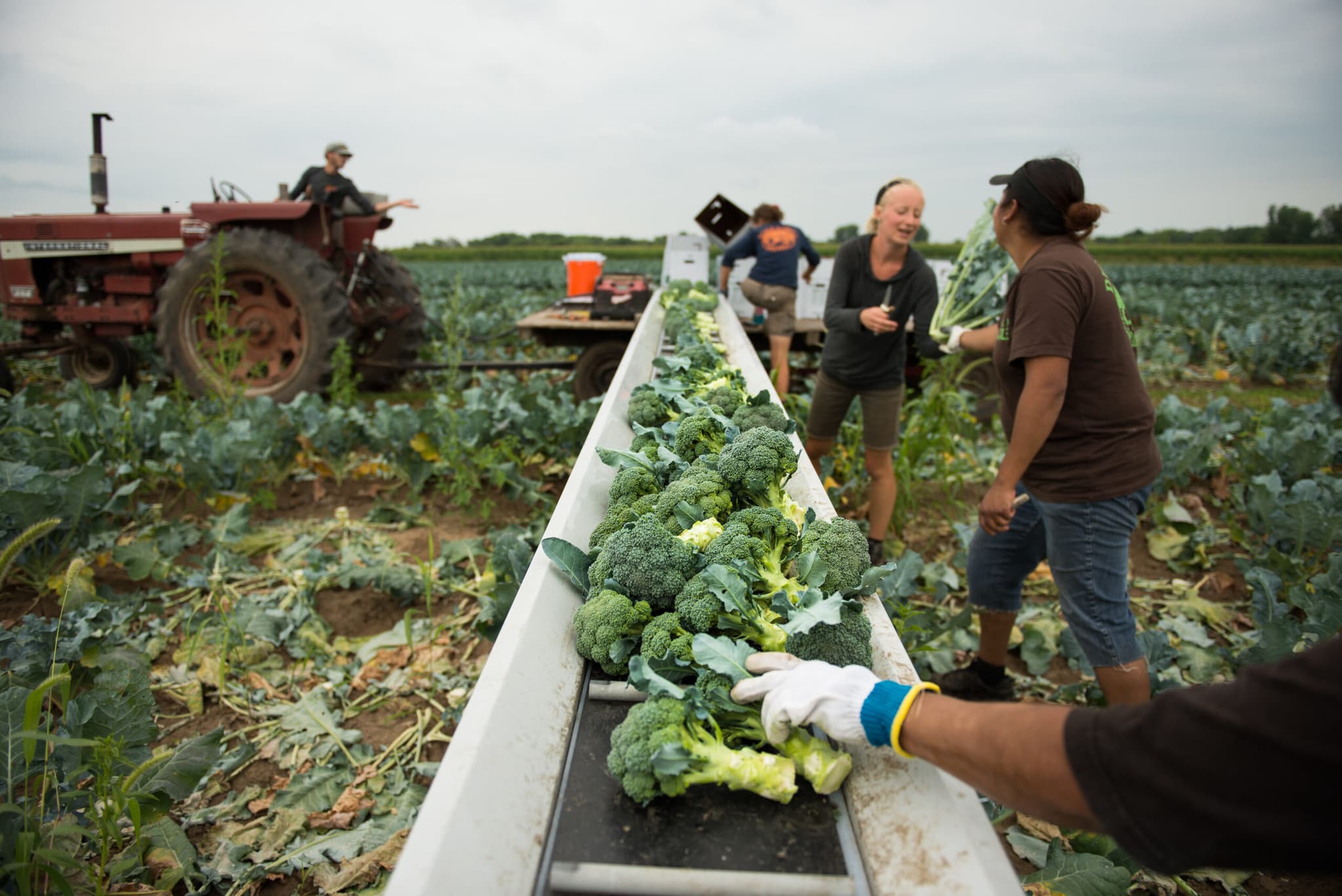 Transition to Organic Partnership Program (TOPP)