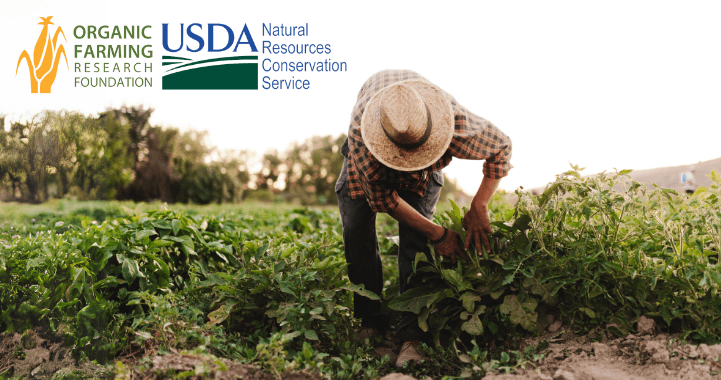 Transition to Organic Partnership Program (TOPP)